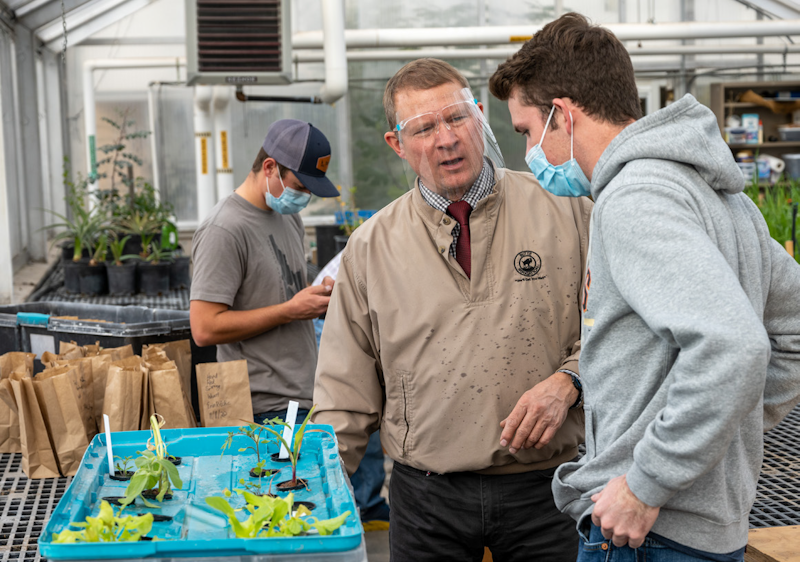 BYU-Idaho Learning and Teaching